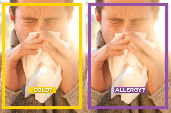 Do I have allergies or a cold? | Allevia